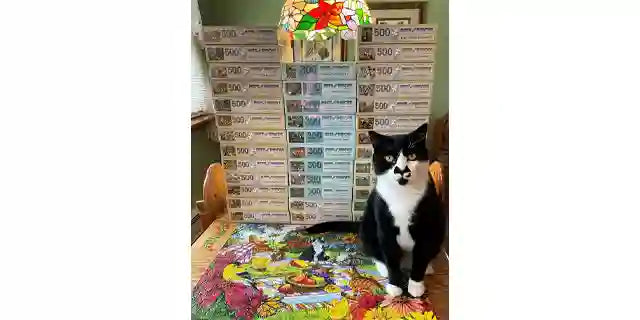 How to Donate Jigsaw Puzzles | Bits and Pieces