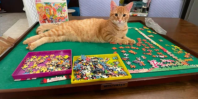 How to Keep Puzzle Pieces from Getting Lost | Bits and Pieces