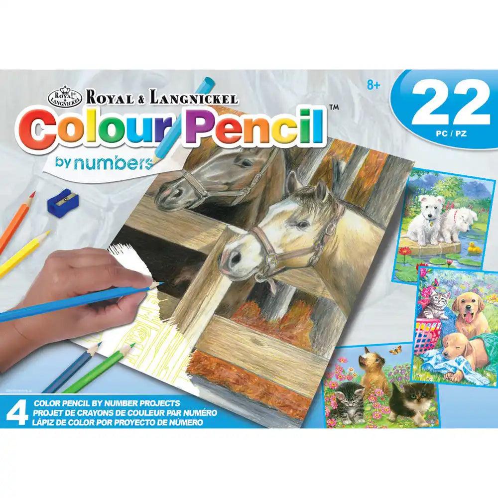Color Pencil by Numbers Kit – Bits and Pieces