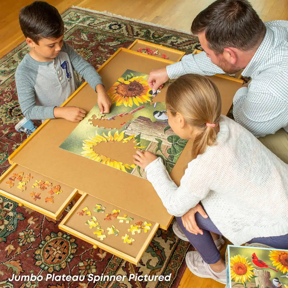 Spinning Wooden Puzzle Plateau – Bits and Pieces